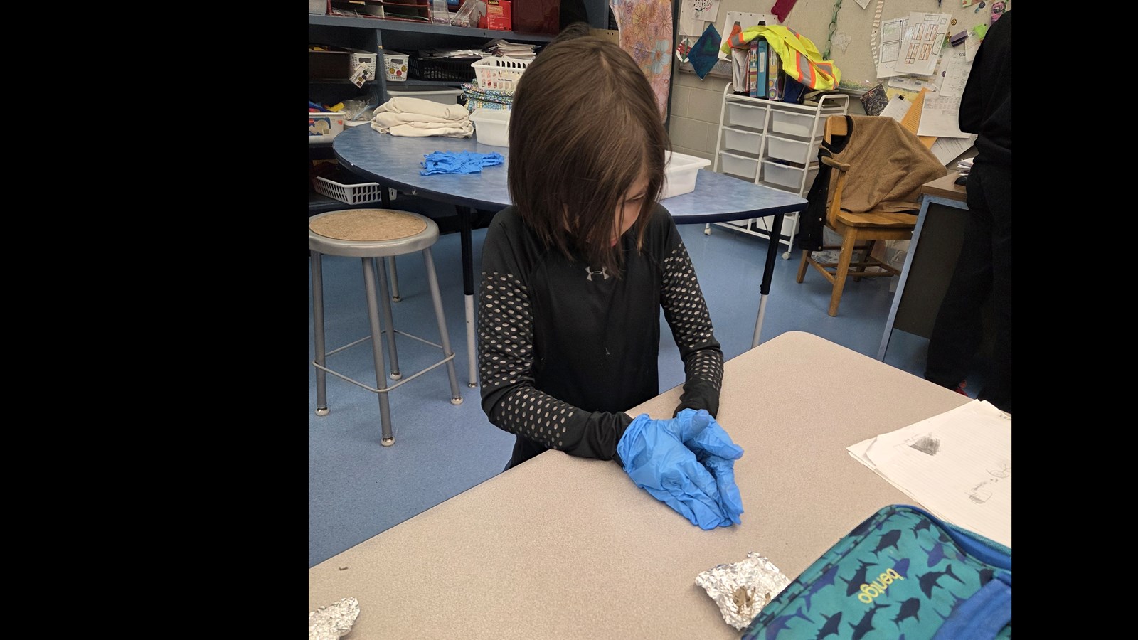 Grade 4 Virtual Field Trip Fun