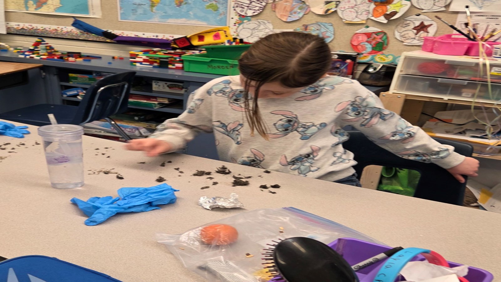 Grade 4 Virtual Field Trip Fun